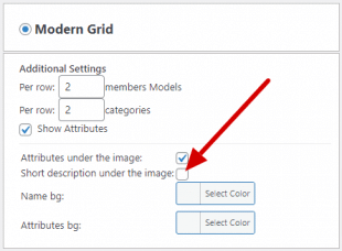 Display short description on the Modern Grid • impleCode
